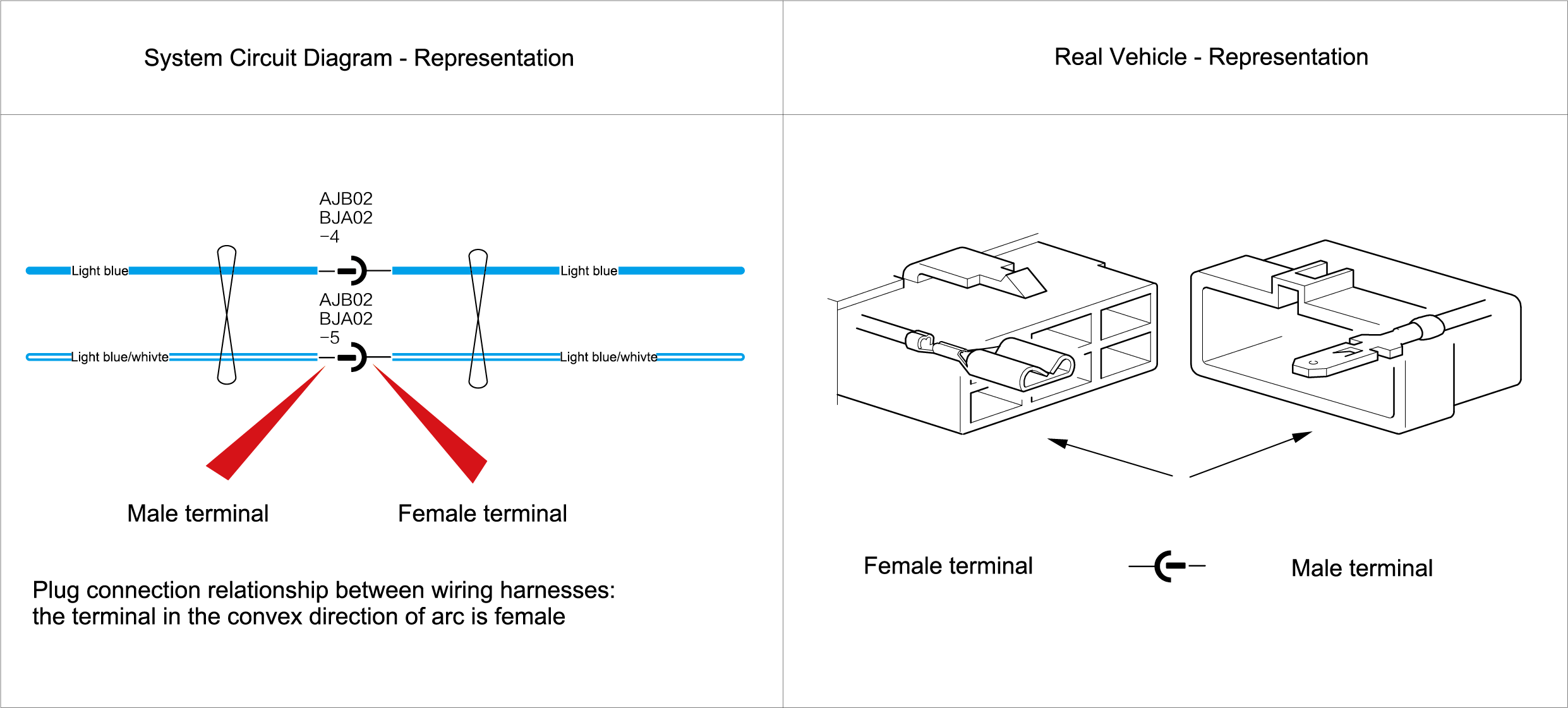 Seal Circuit Atlas (RHD)